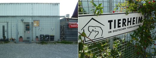 Untitled [www.tierschutzverein-kirchheim.de]